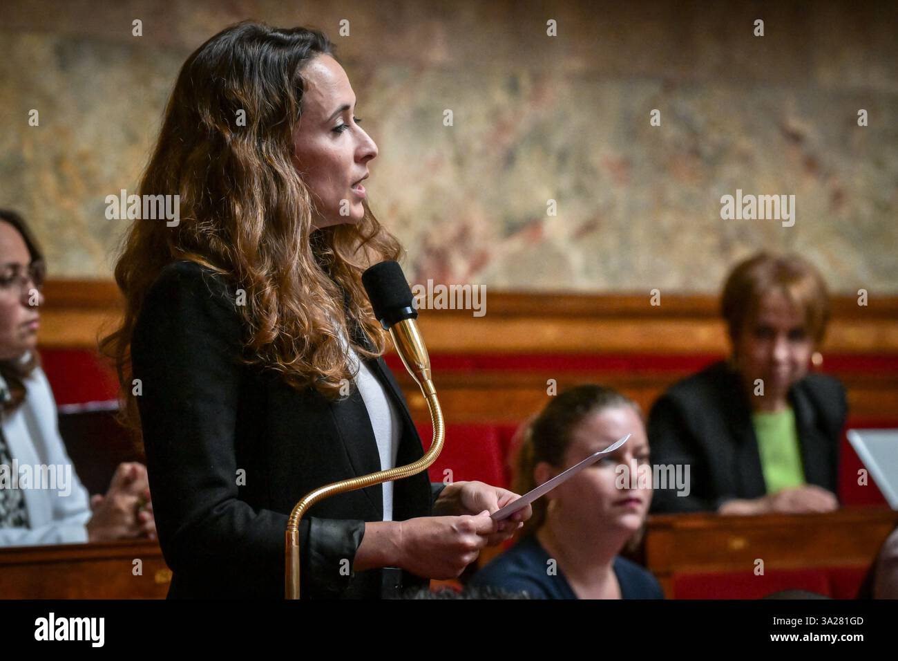 French MP for "La France Insoumise - NFP" group Clemence Guette, speaks ...