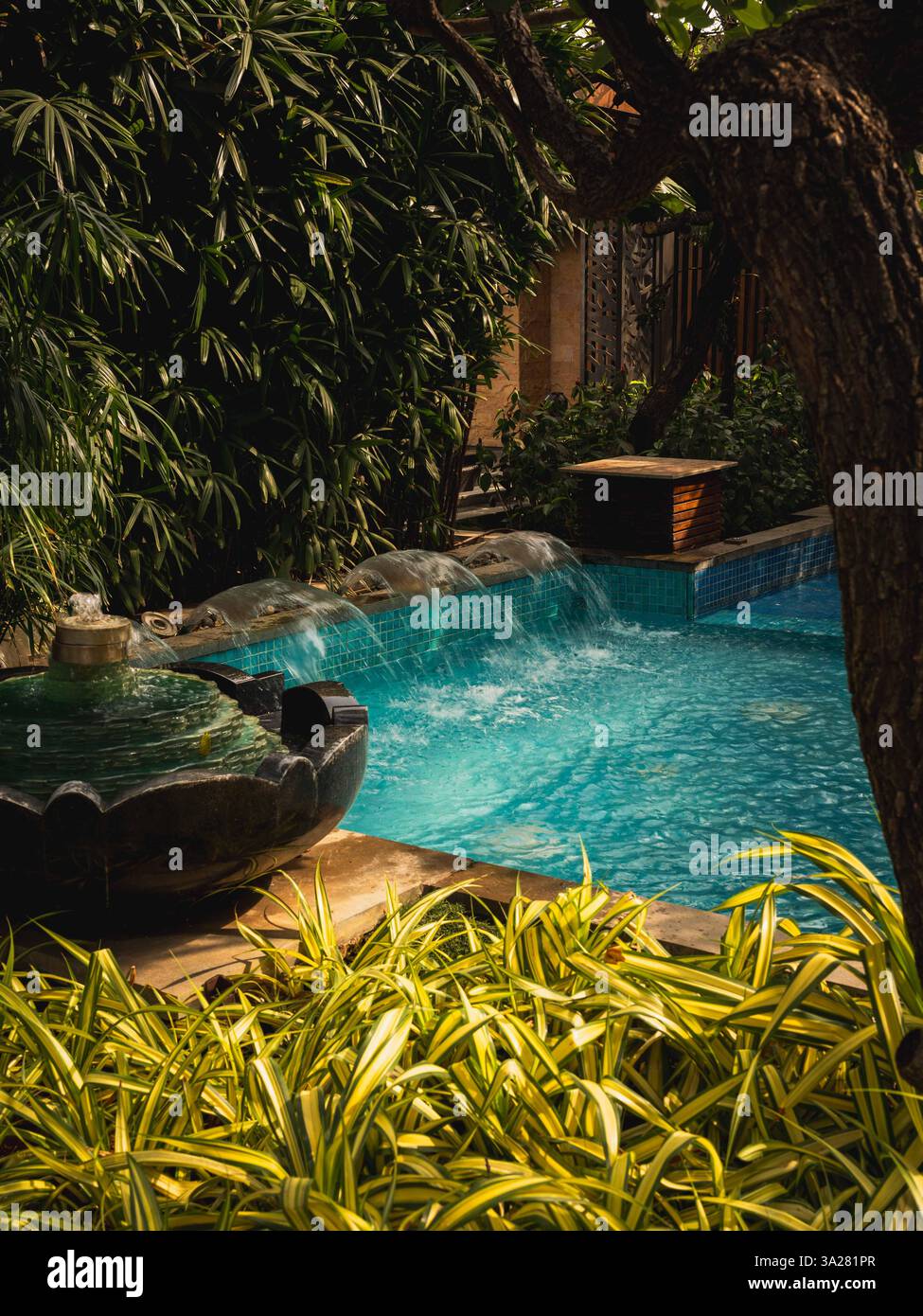 A hidden tropical swimming pool surrounded by lush trees and vibrant ...