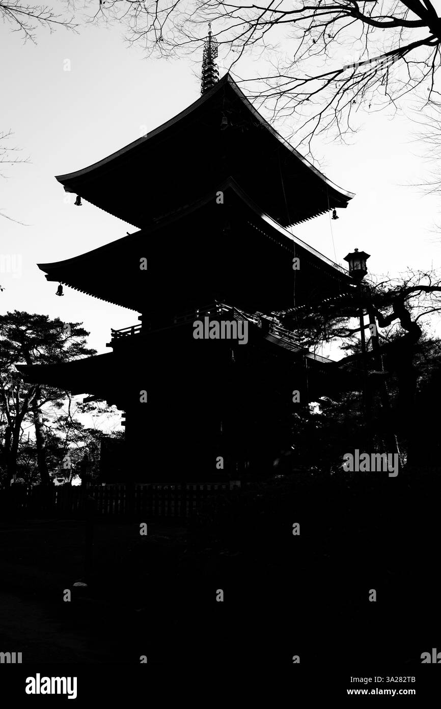 Shibuya tokyo japan asia Black and White Stock Photos & Images - Alamy