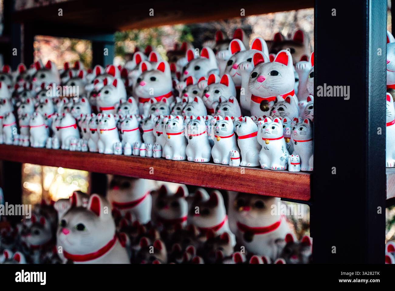 Gotoku ji Temple, Tokyo Stock Photo - Alamy