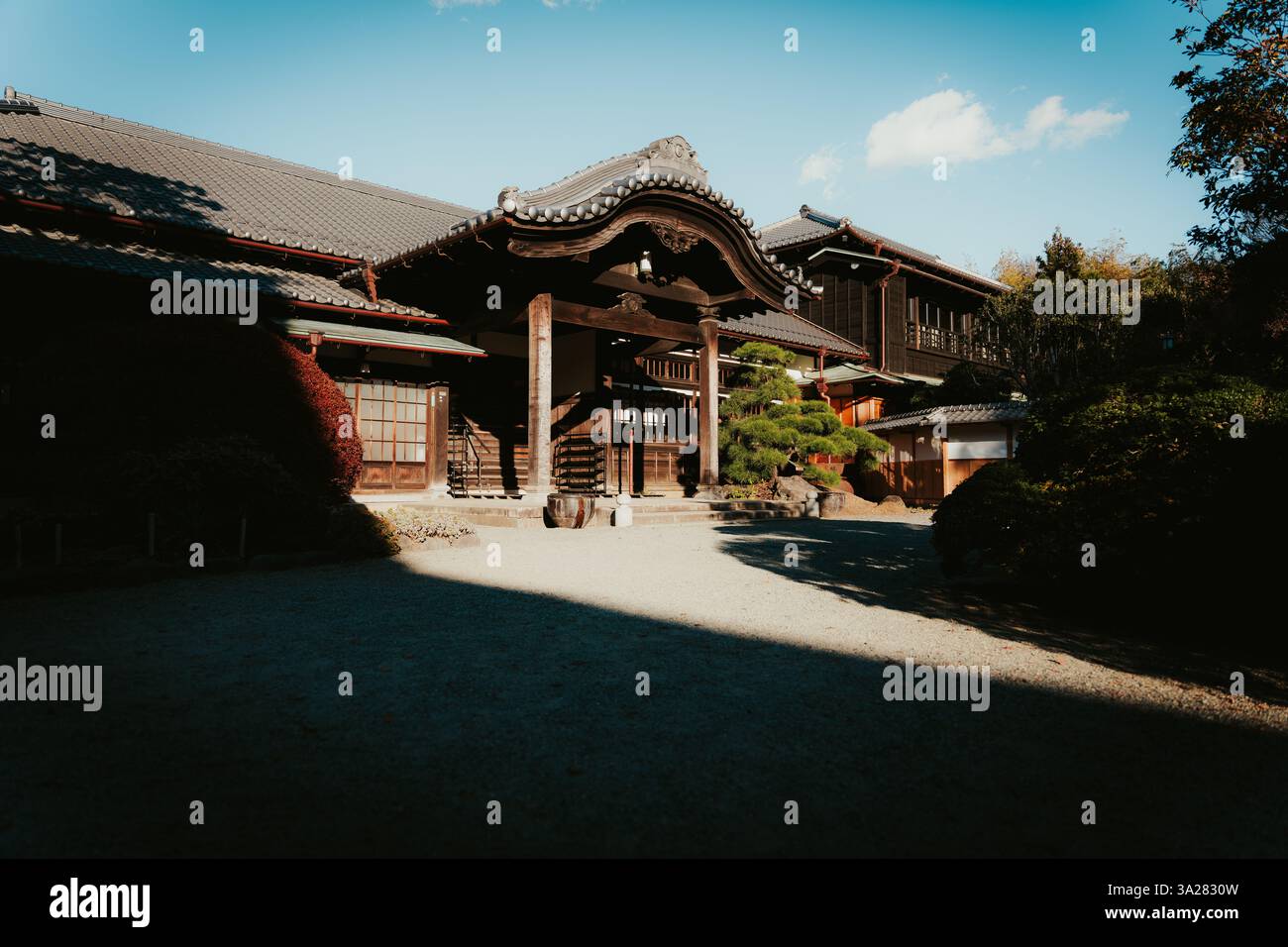 Gotoku ji Temple, Tokyo Stock Photo - Alamy