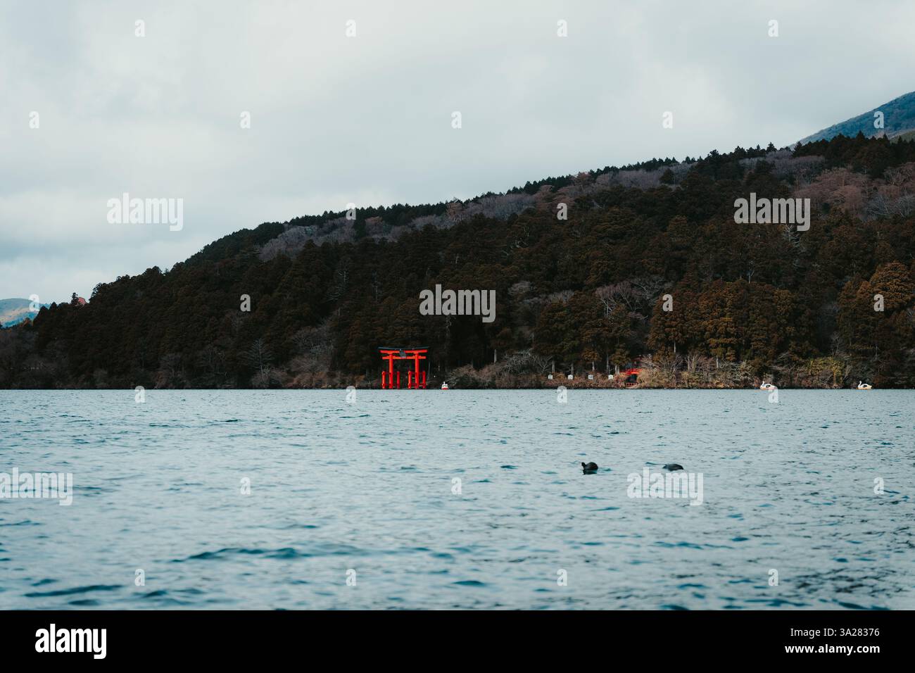 The famous Torii of Hakone Stock Photo - Alamy