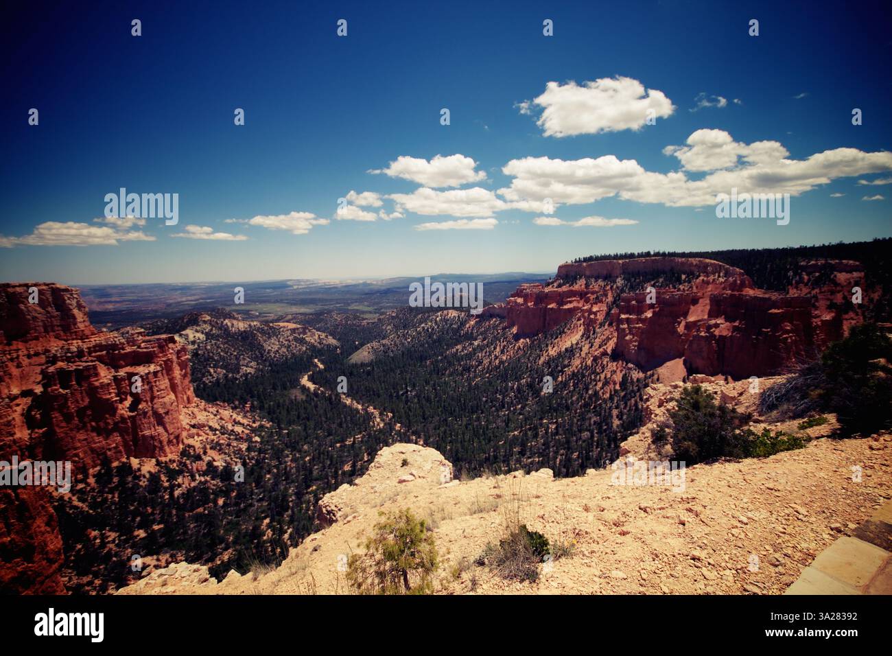 A breathtaking view of a canyon landscape featuring red rock formations ...