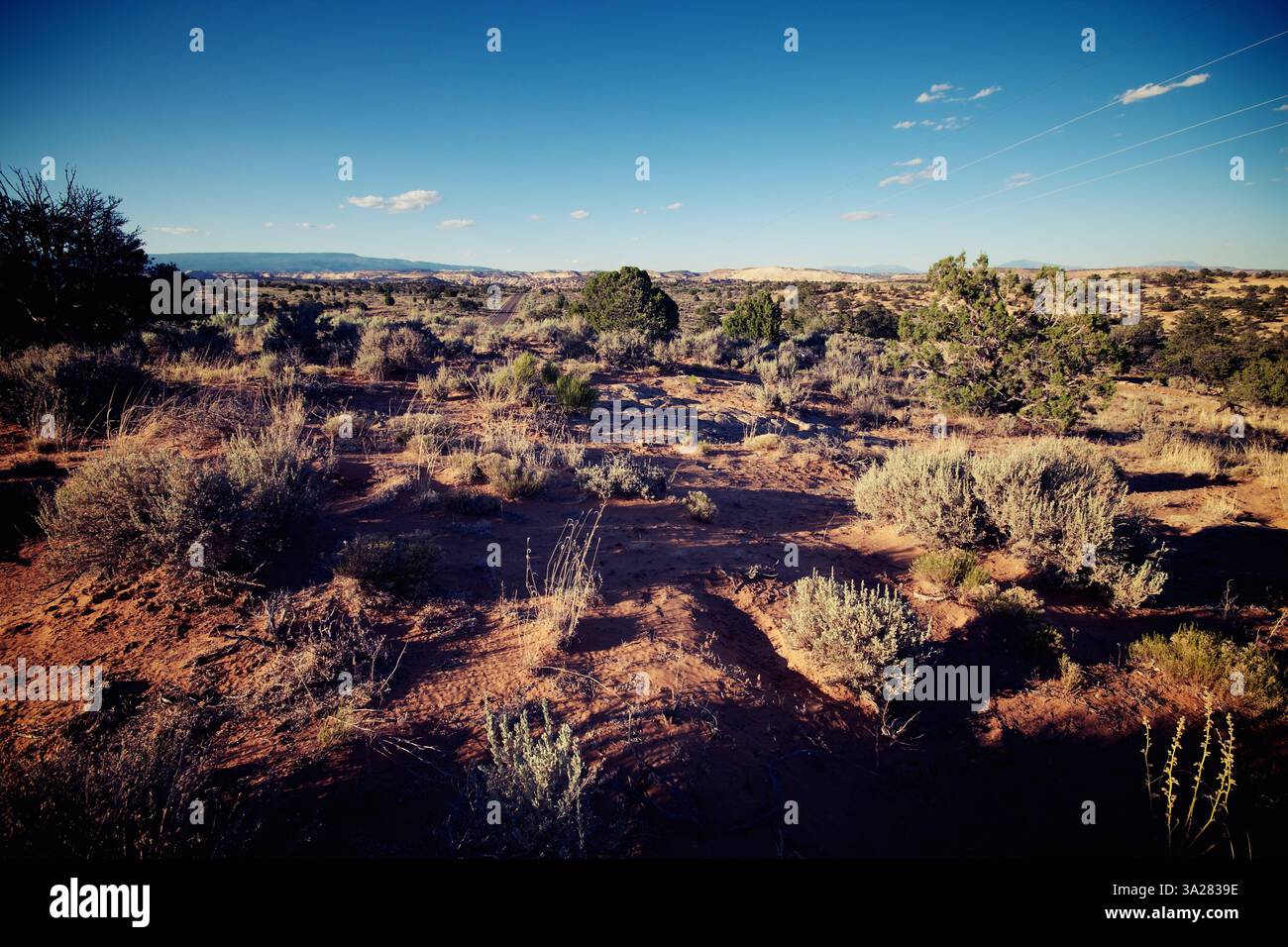 A vast desert landscape featuring sparse vegetation, shrubs, and ...