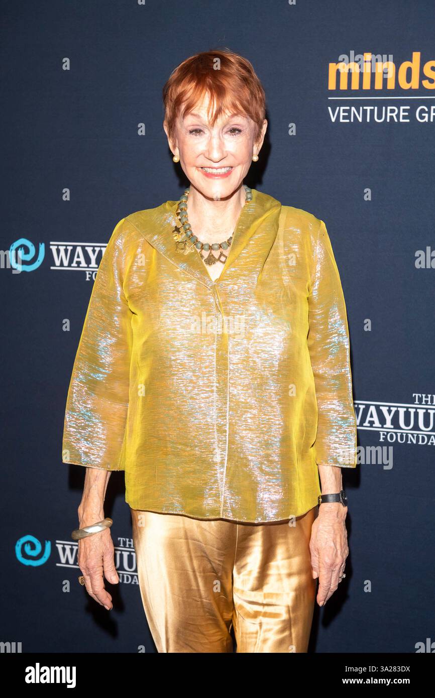 Kathy Eldon attends the 2025 Wayuu Taya Foundation's Spring Gala at ...