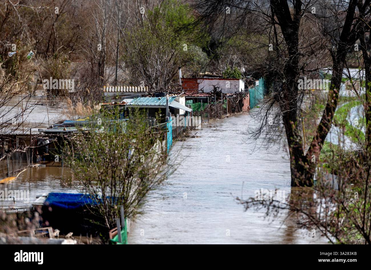 Area of crops affected by the overflow of the Jarama River, on March 12 ...
