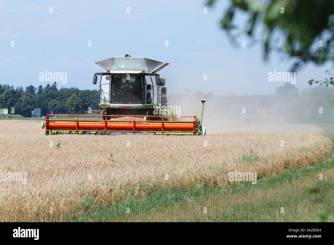 Mähdrescher im Gerstenfeld Stock Photo - Alamy
