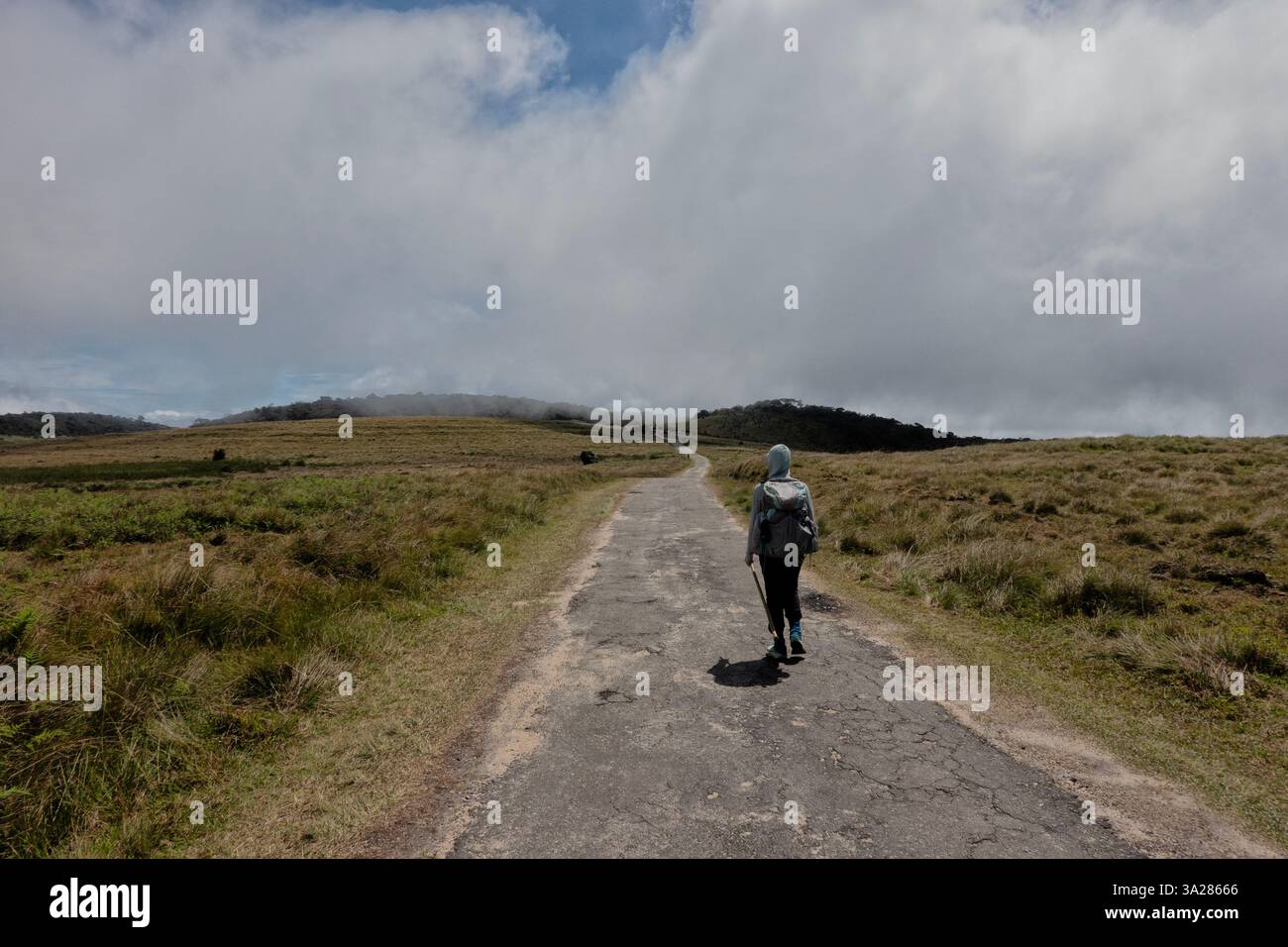 Hiking the Pekoe Trail through Horton Plains National Park, Ohiya, Sri ...
