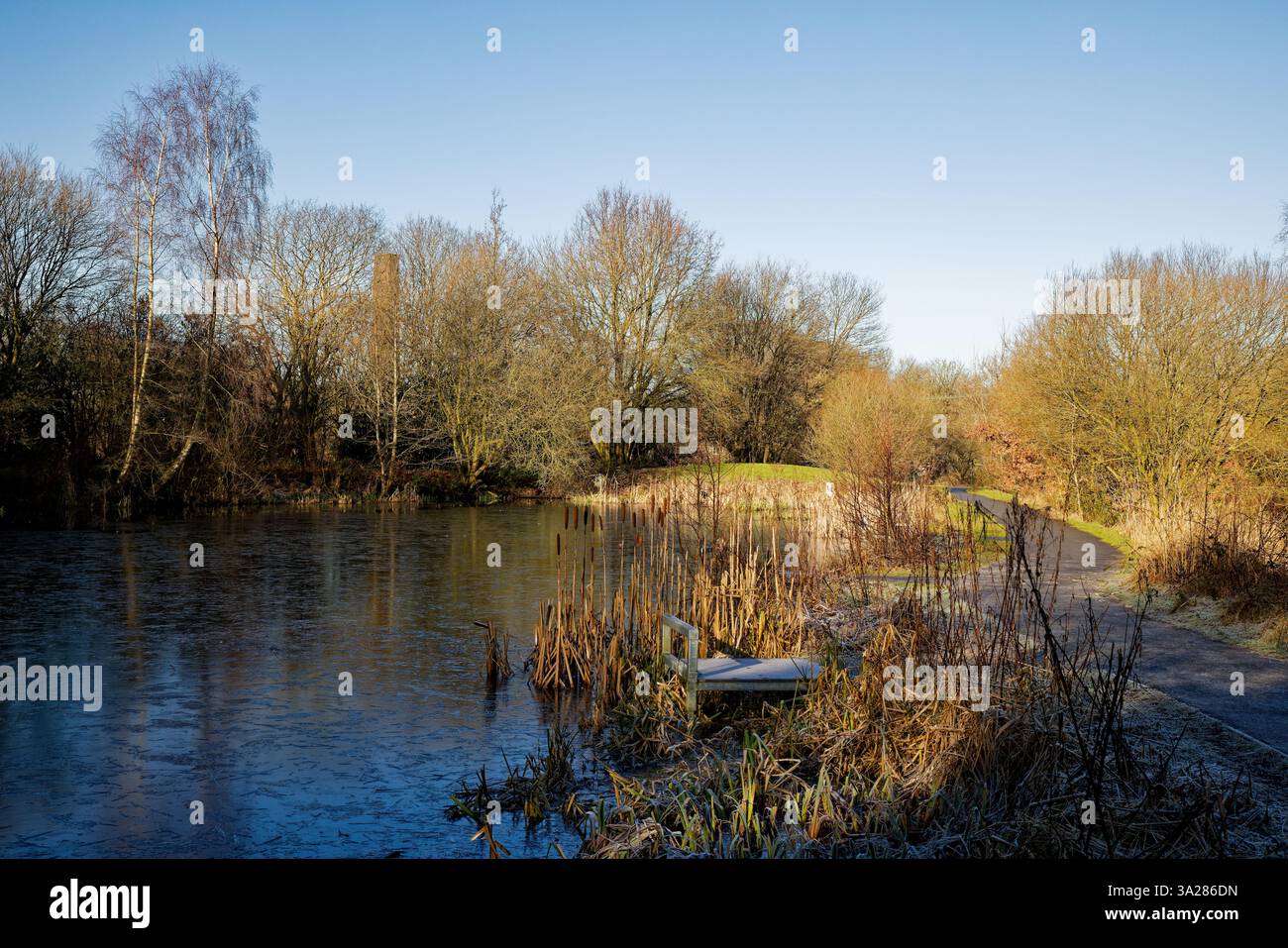 A frozen pond on a sunny winter day at Burrs Country Park, Bury ...