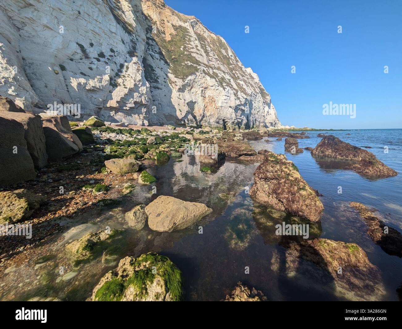 white cliffs between Dover and Folkestone Stock Photo - Alamy