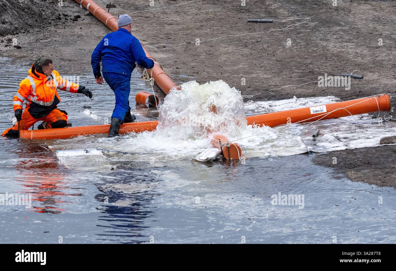 Barth, Germany. 12th Mar, 2025. The new marina in the district of ...
