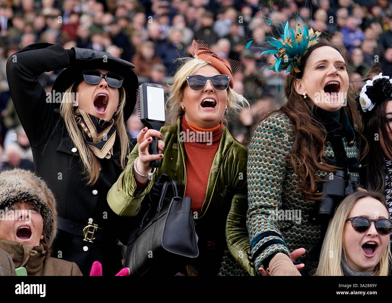 Racegoers react watching the betmgm queen mother champion chase on day ...