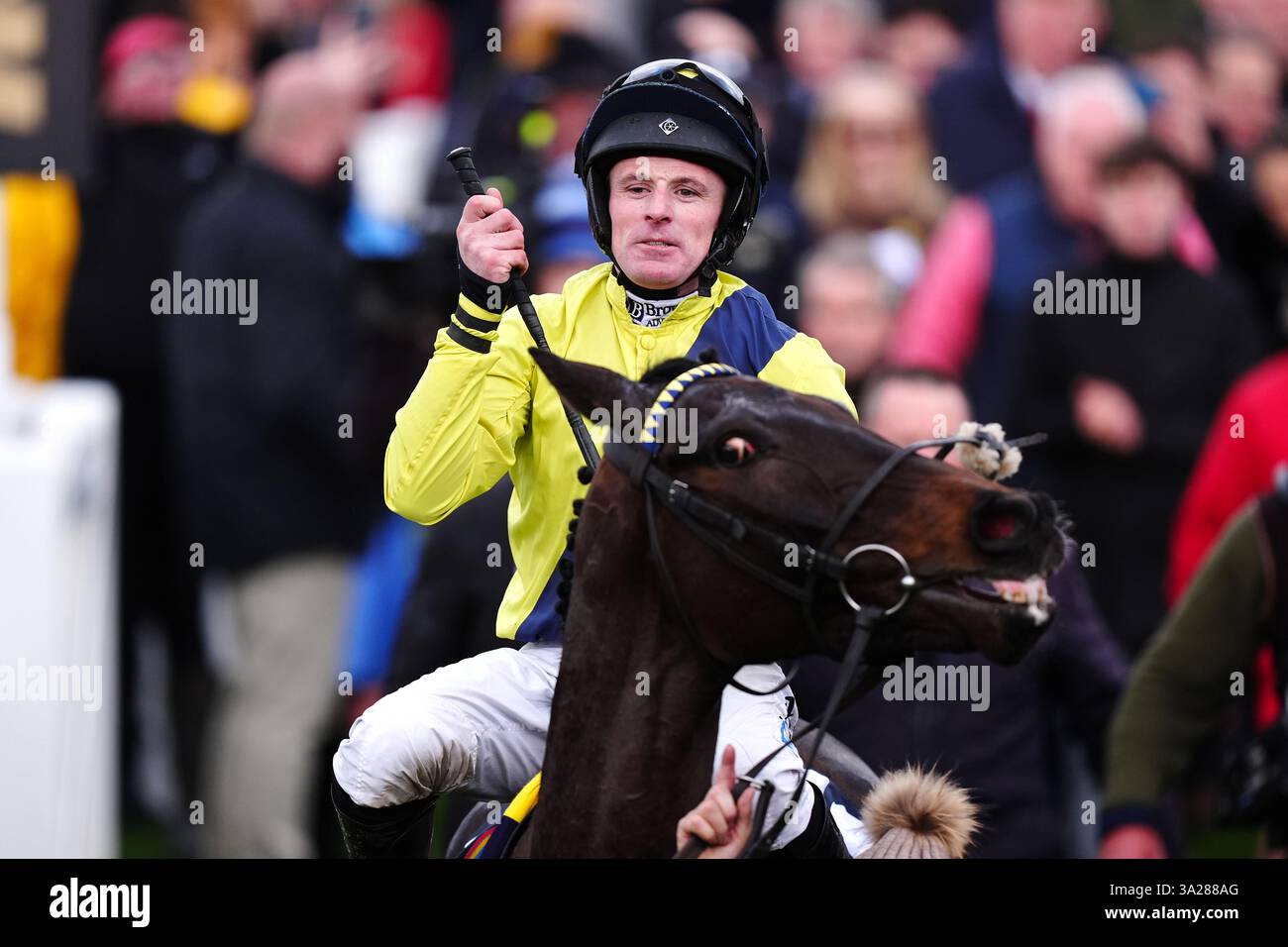 Jockey Sean Flanagan celebrates after winning the BetMGM Queen Mother ...