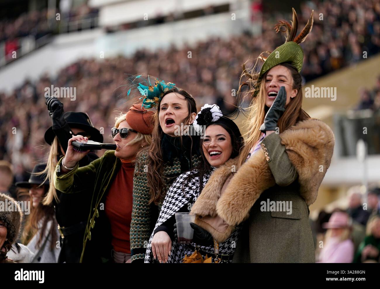 Racegoers react watching the betmgm queen mother champion chase on day ...