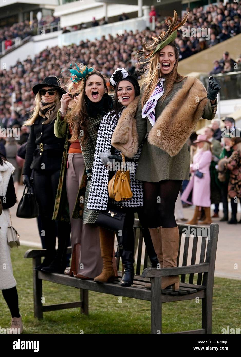 Racegoers react watching the betmgm queen mother champion chase on day ...