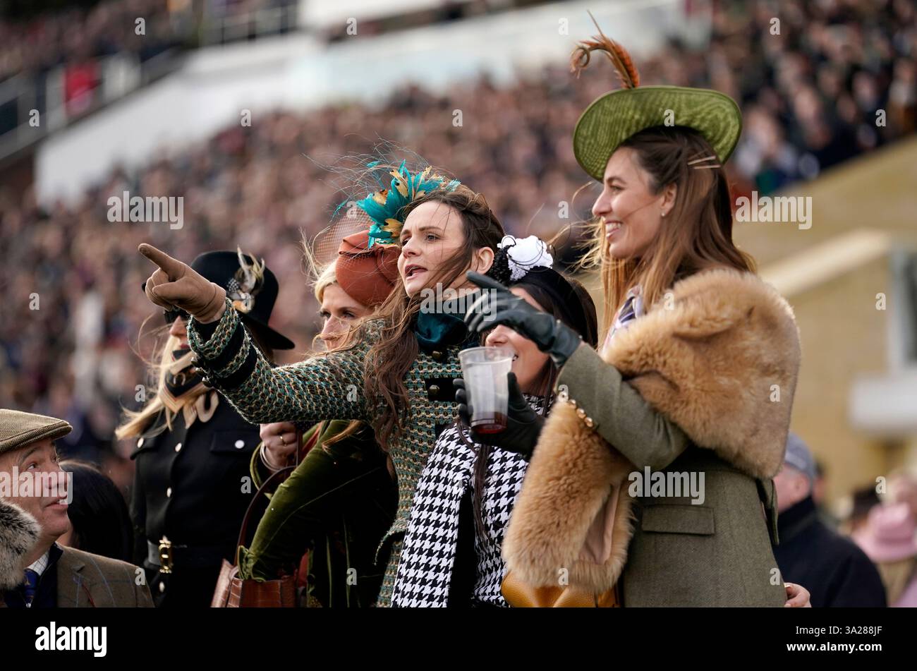 Racegoers react watching the betmgm queen mother champion chase on day ...