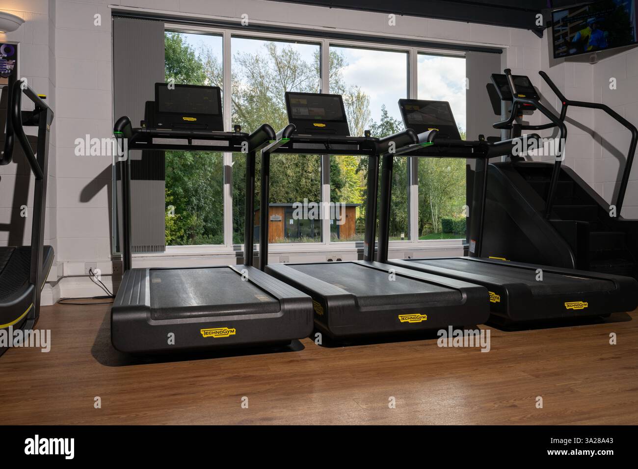 Three treadmills are lined up in a gym, with a view of a forest outside ...