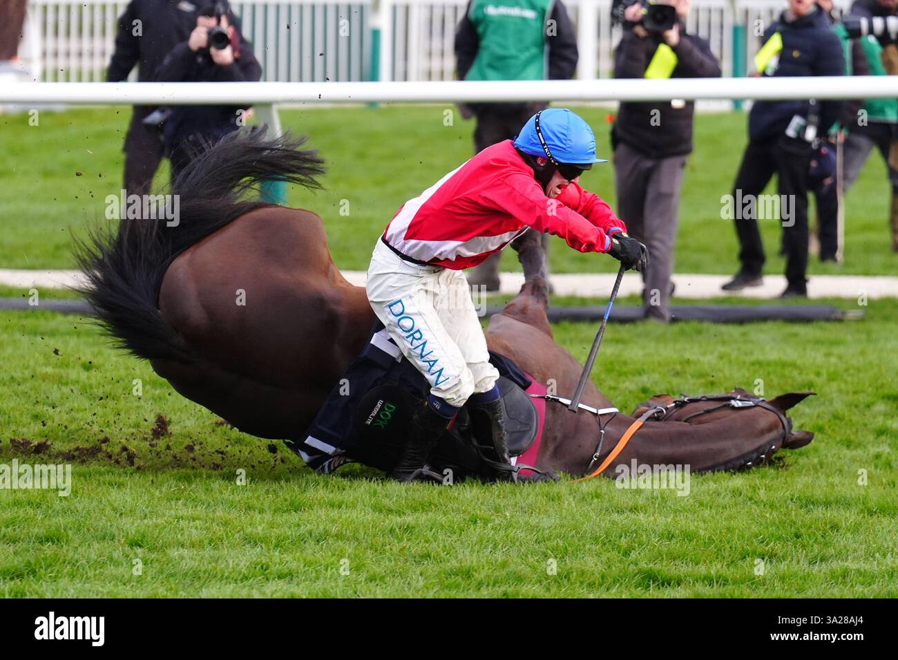 Quilixios ridden by Darragh O'Keeffe falls in the BetMGM Queen Mother ...