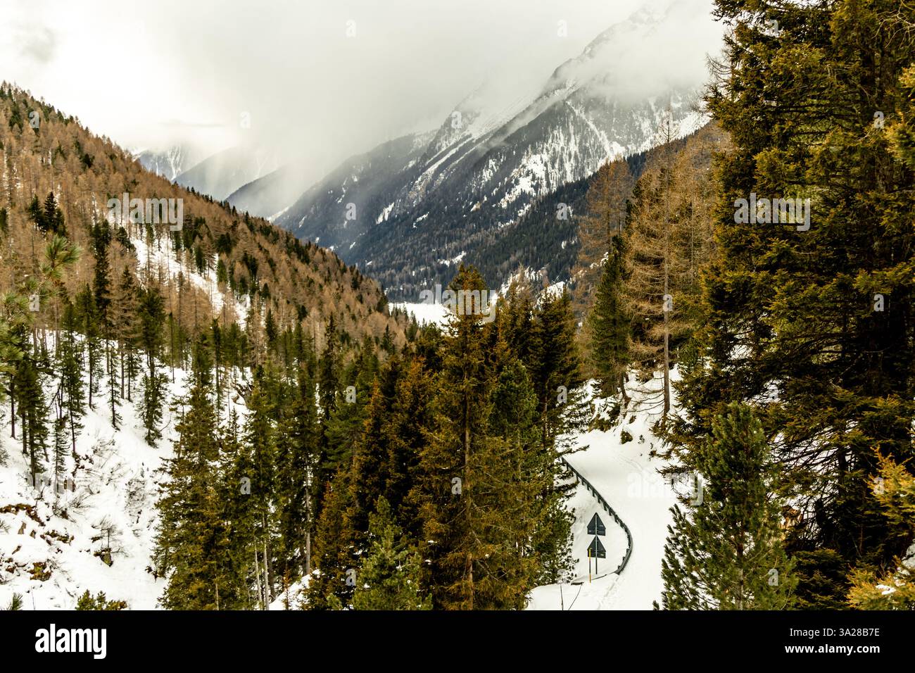 Hike up the Staller Sattel to the Austrian border near Antholz in the ...