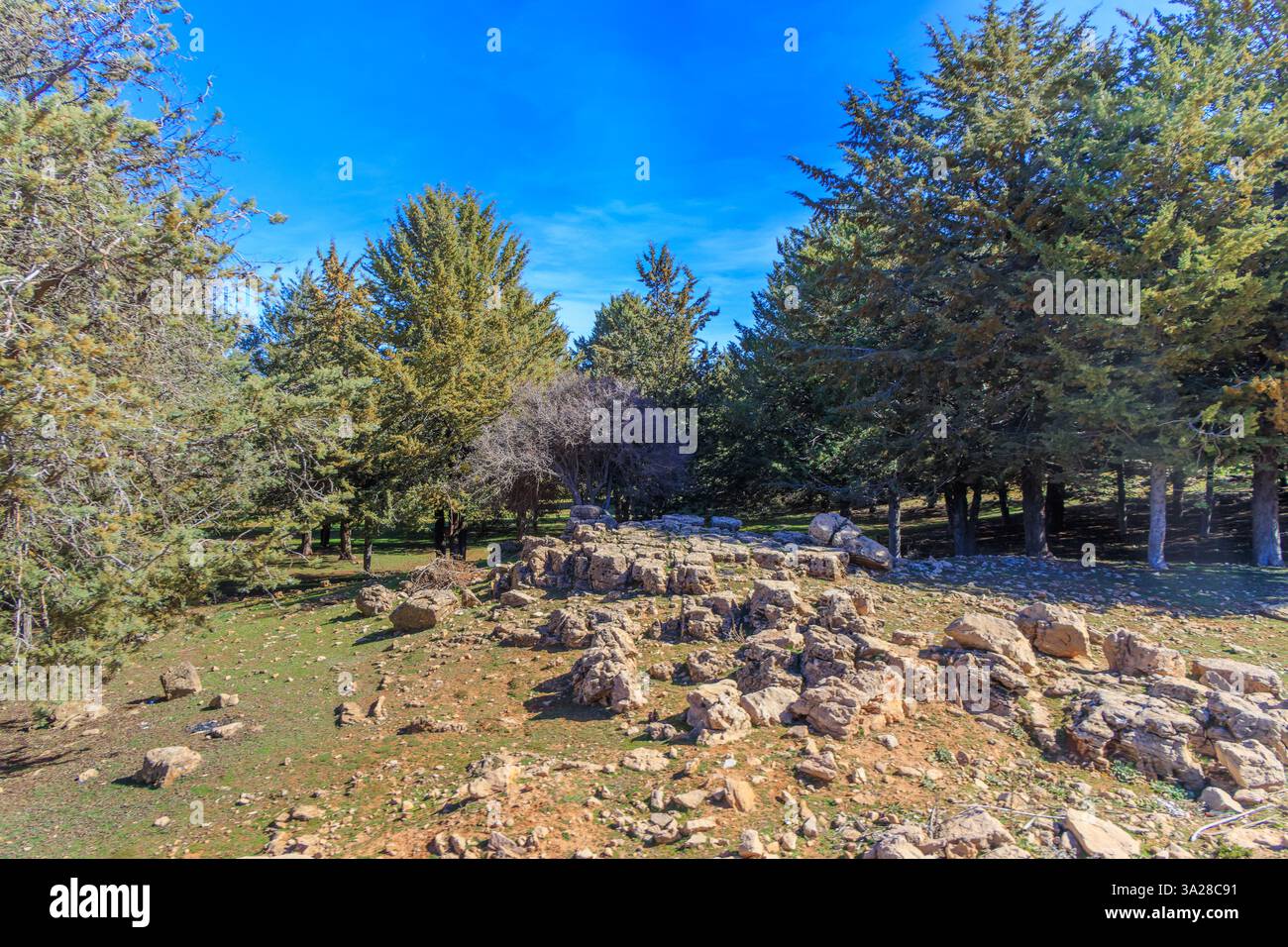 Landscape in the middle Atlas, Azrou, Morocco Stock Photo - Alamy