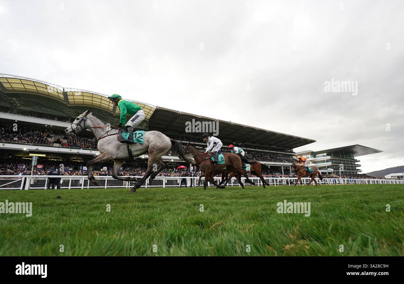 Runners and riders in the Debenhams Johnny Henderson Grand Annual ...