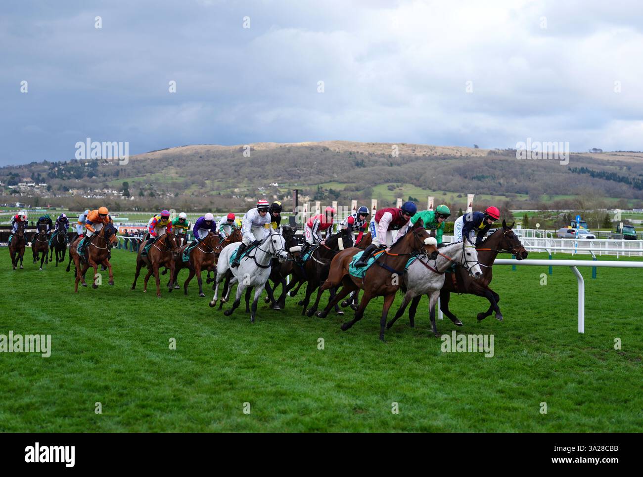 Runners and riders in the Debenhams Johnny Henderson Grand Annual ...