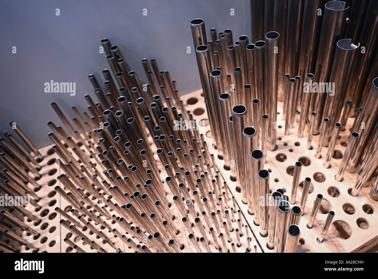 Rottenburg 12.03.2025 Orgelpfeifen der Orgel im Rottenburger Dom St ...