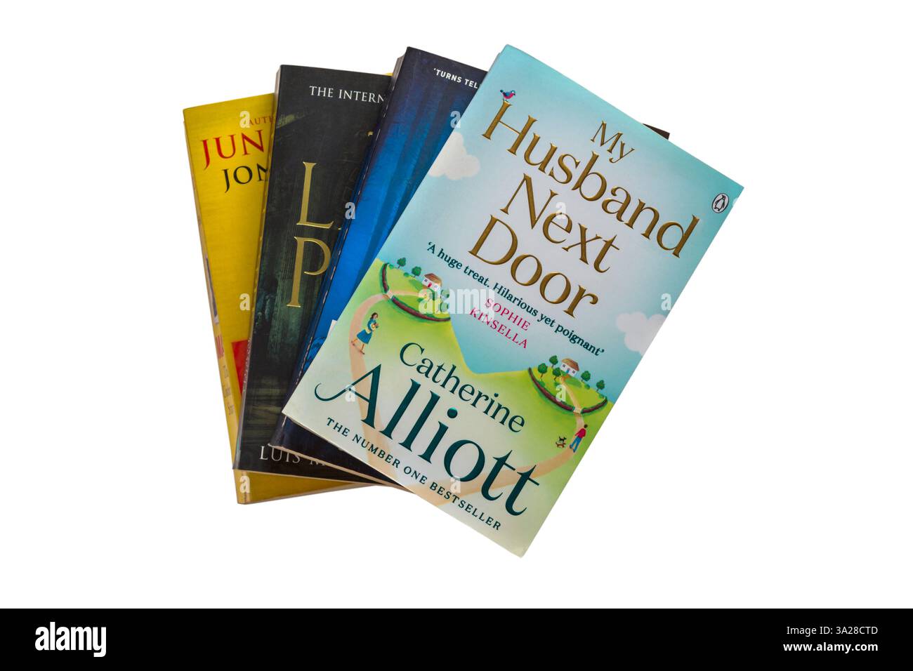 Selection of books with My Husband Next Door book by Catherine Alliott ...