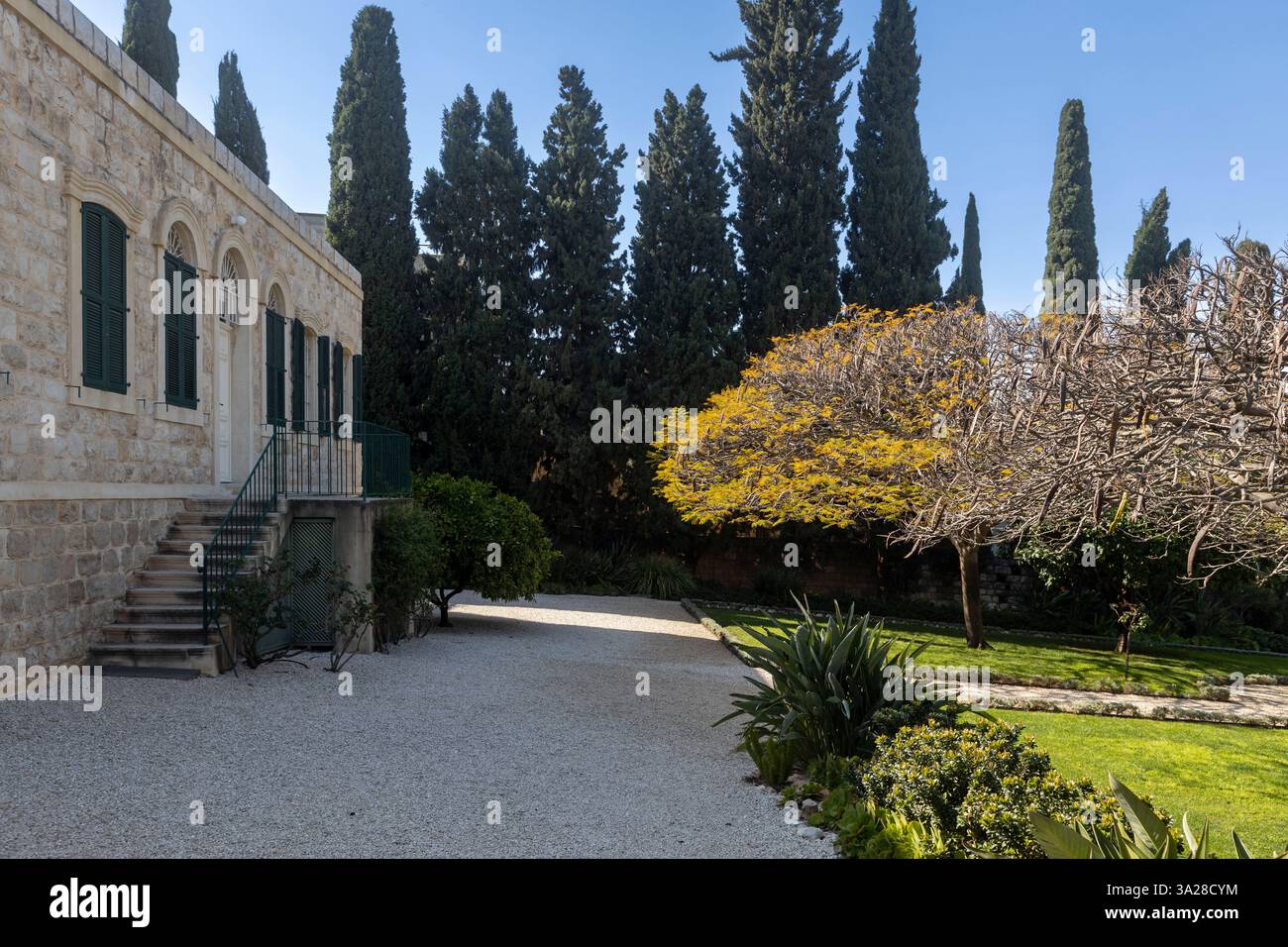 Park landscape design featuring cypress, Peltophorum, and Royal Delonix ...