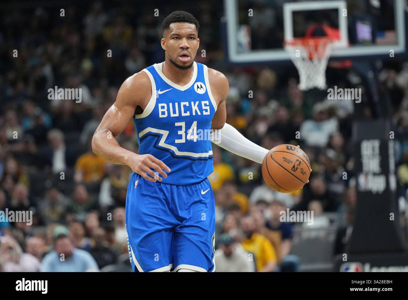 Milwaukee Bucks forward Giannis Antetokounmpo (34) in action as the ...