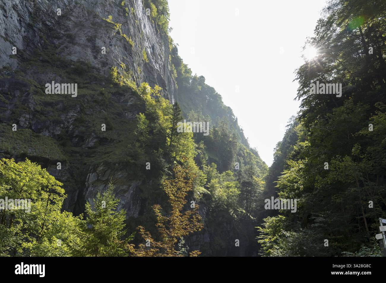 The narrow Tamina Gorge at Alter Bad Pfaefers, St. Gallen, Switzerland ...