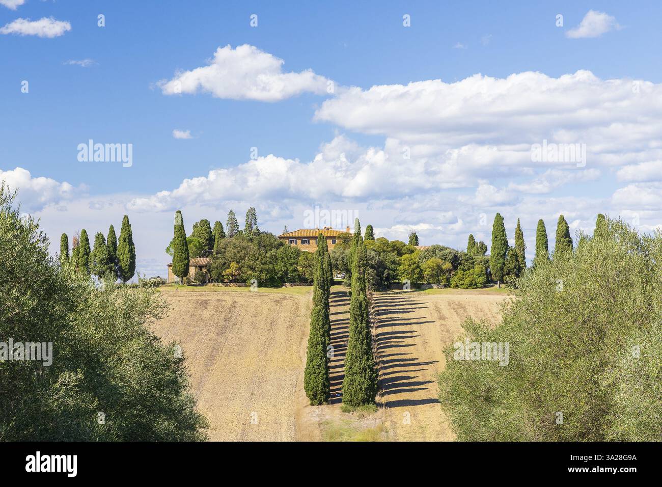 The famous Gladiator house Genna Borborini Maria Eva with cypress ...