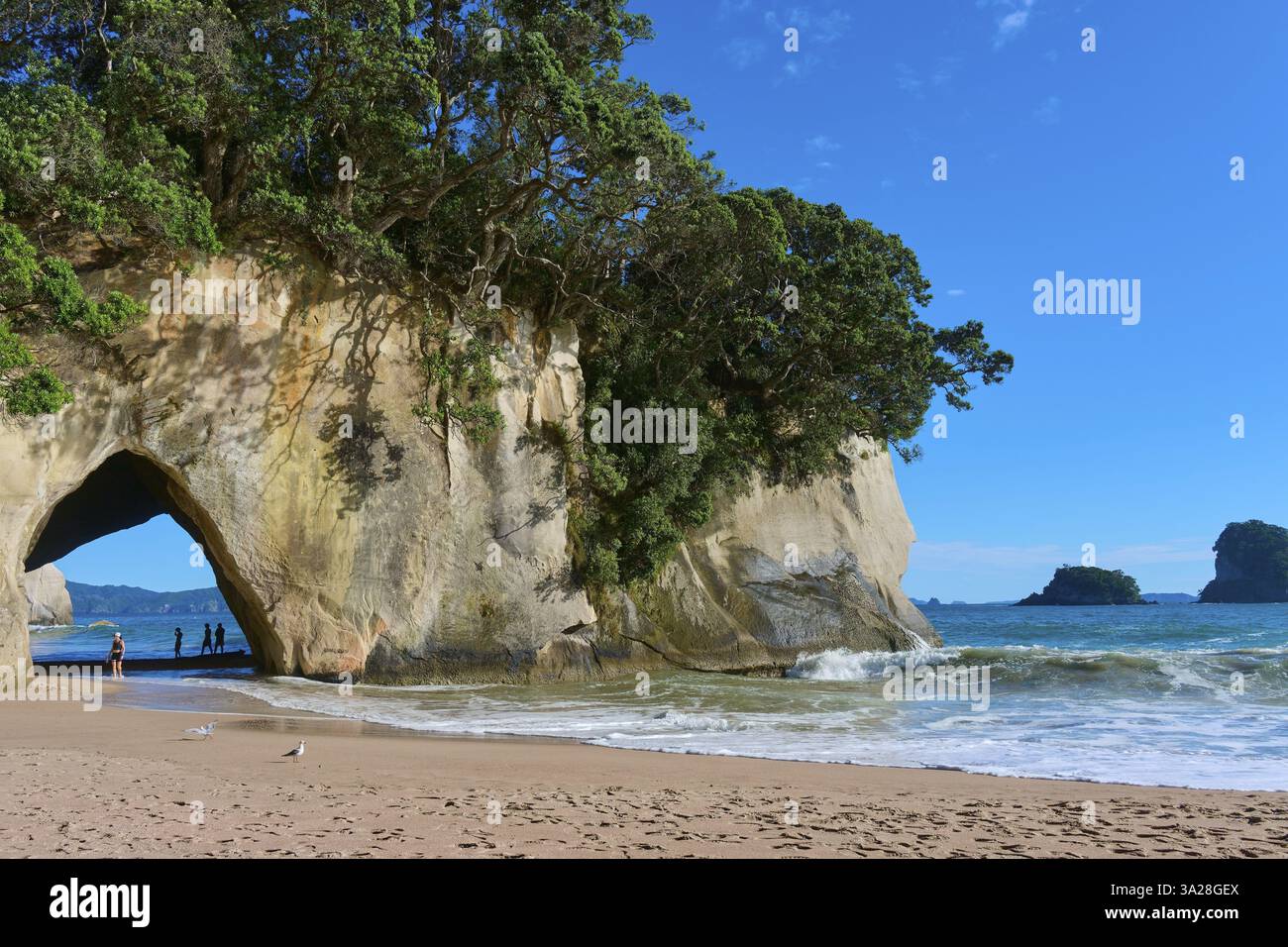 Sandy beach beach with rock arch and surrounding trees, view of the sea ...