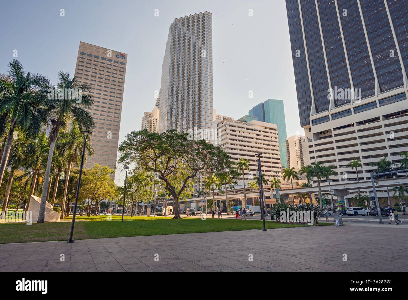 Miami, Florida, USA – February, 28, 2025: Palm trees at Bayfront Park ...