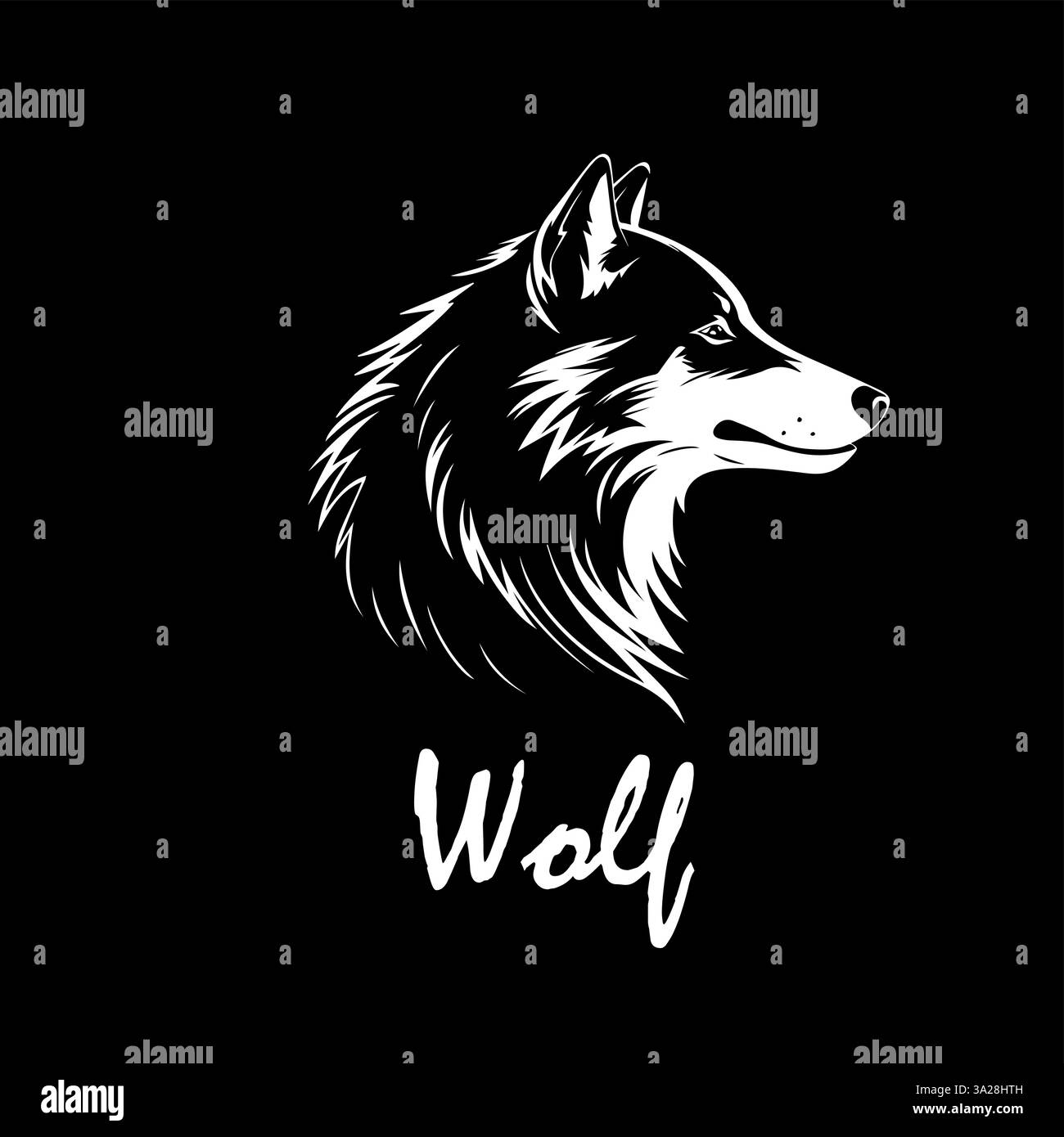 wolf head on black background. hand drawing. Not AI, Vector ...