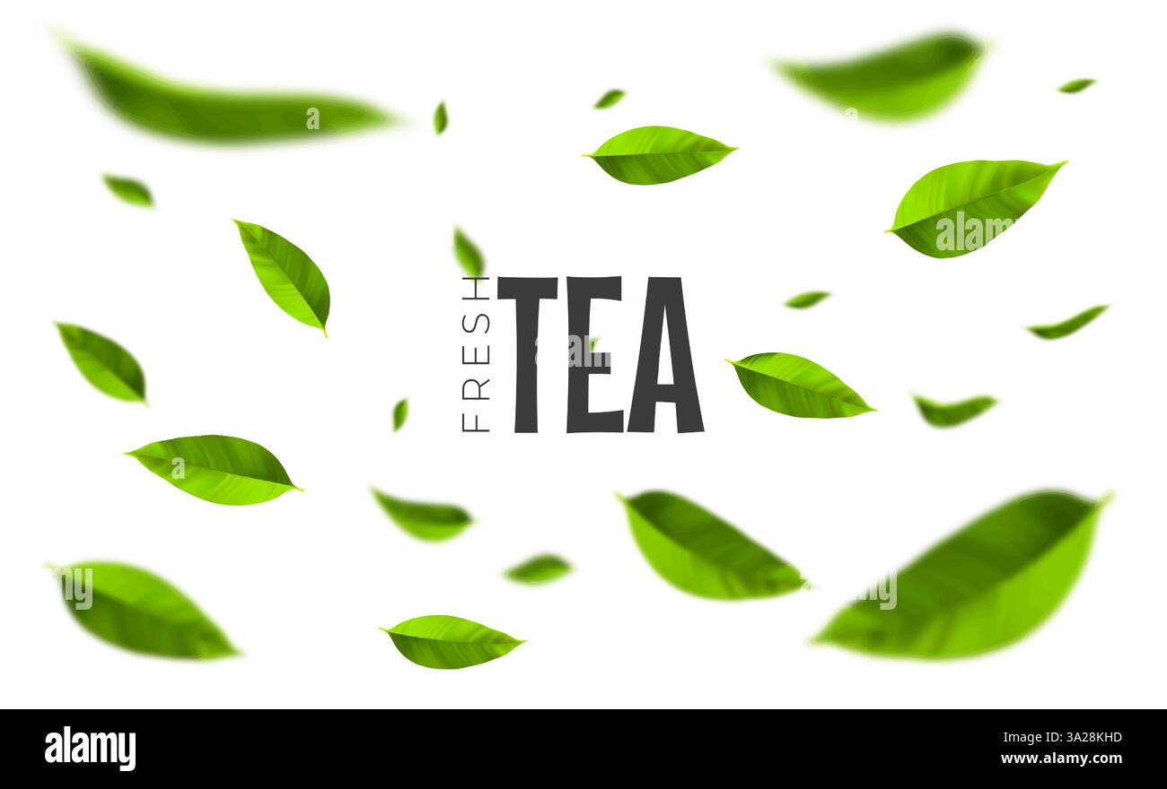 Fresh and healthy tea leaves. Flying green leaves in the air. Top view ...