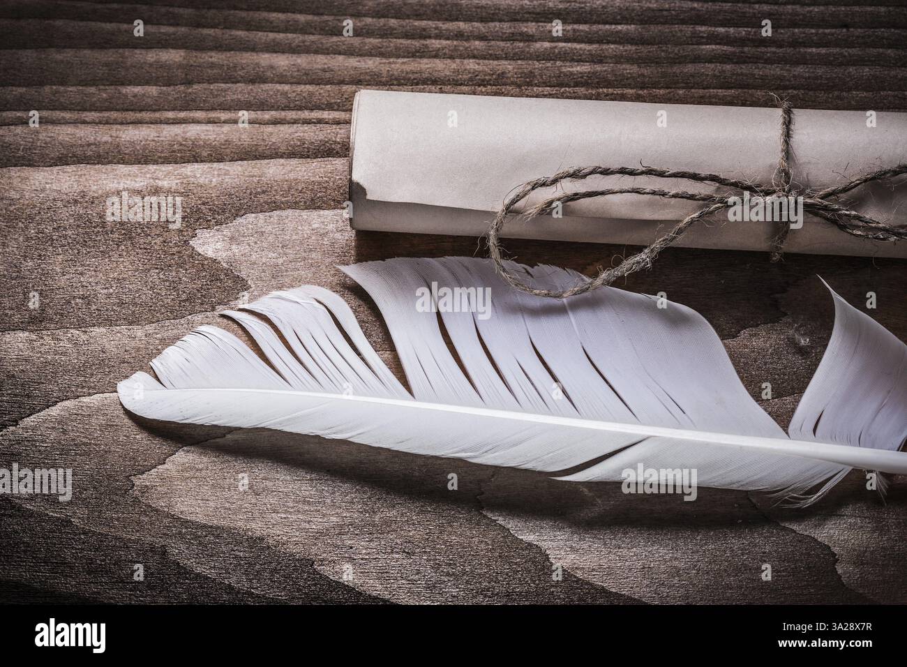Paper plumes hi-res stock photography and images - Alamy