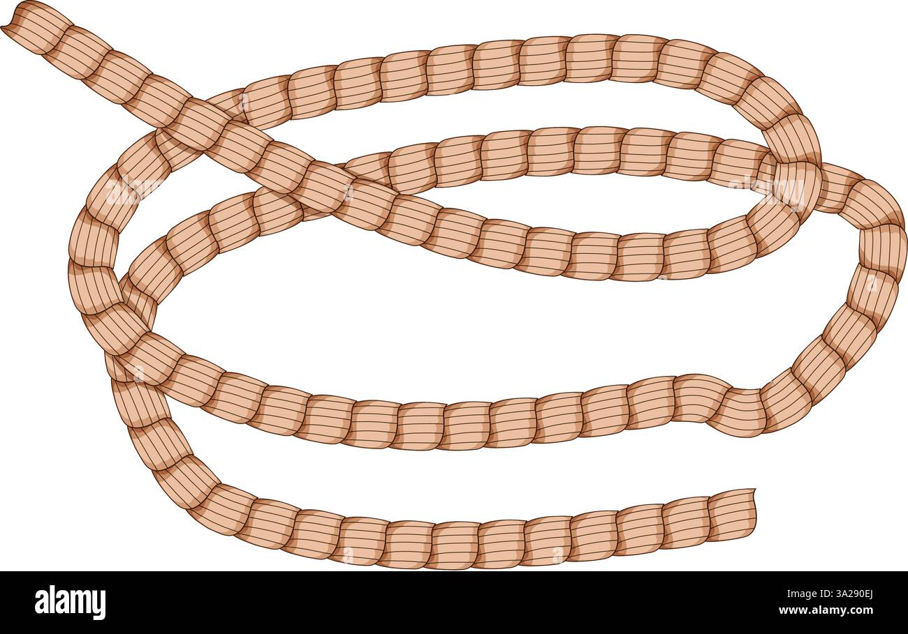 Twisted binding Stock Vector Images - Alamy