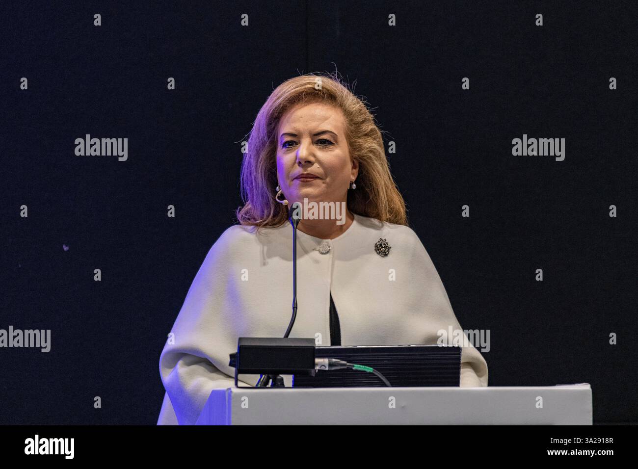 Professor Emma Edhem introducing and welcoming an audience at the ...