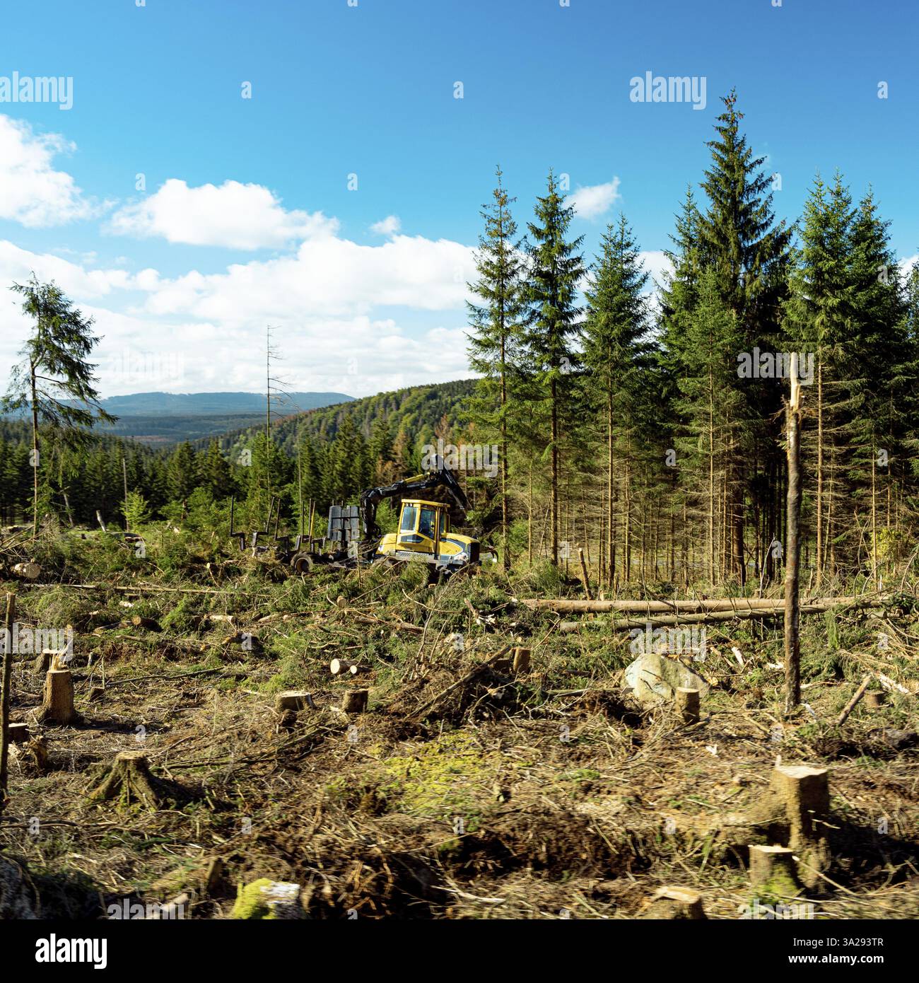 Ecological destructions hi-res stock photography and images - Alamy