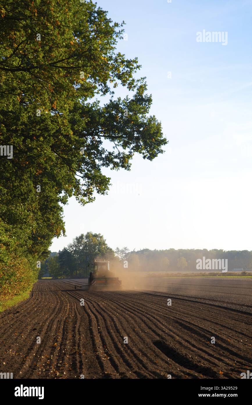 Field work hi-res stock photography and images - Alamy