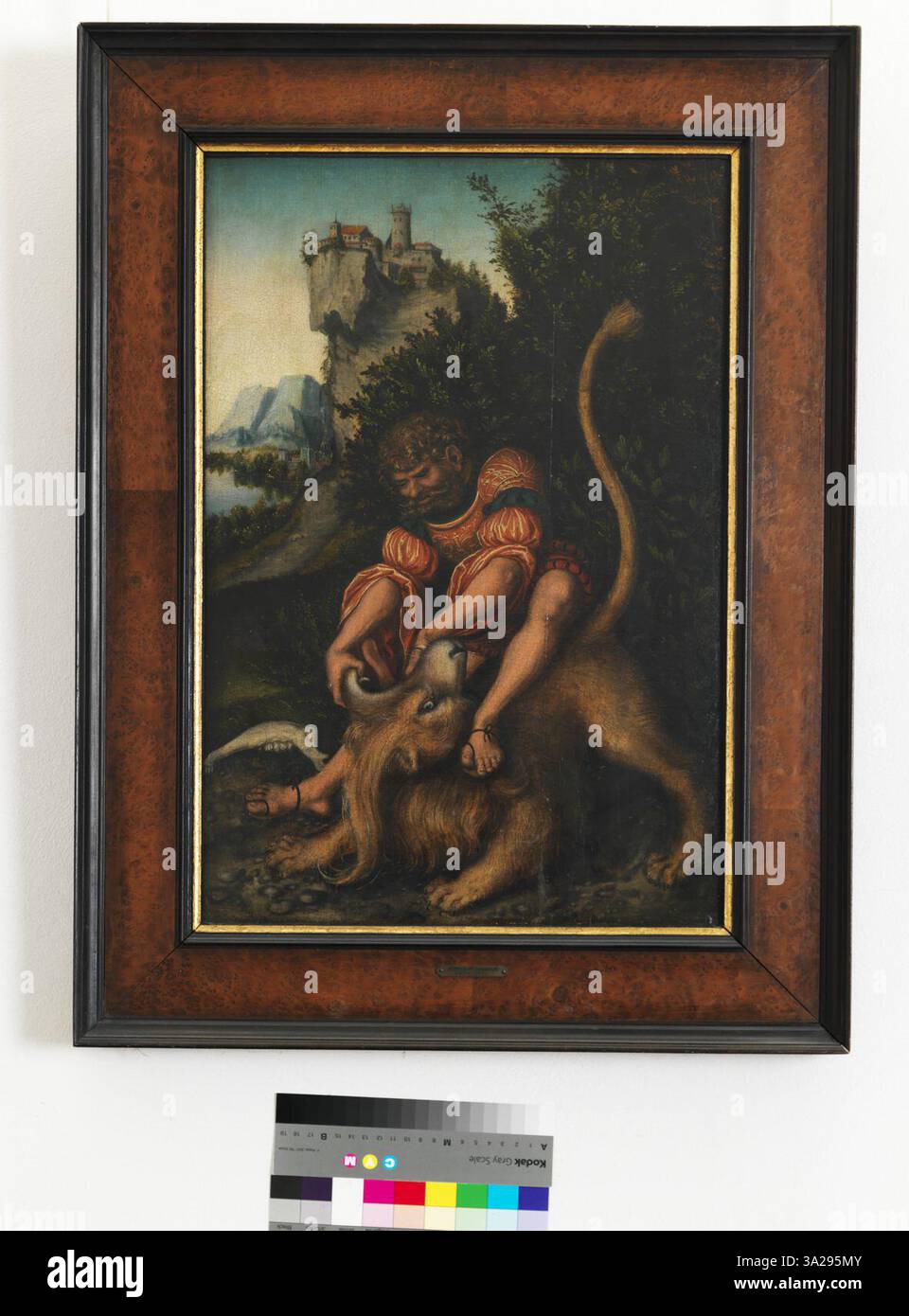 This painting depicts the biblical scene of Samson fighting with a lion ...