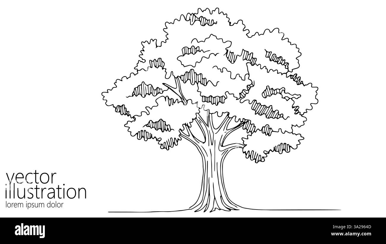 Tree drawing illustration design. Trunk branches foliage details ...