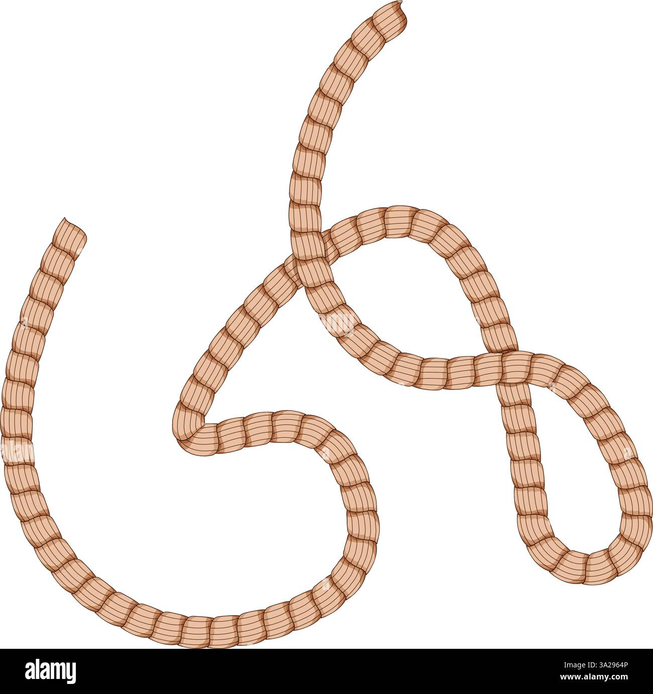 knot rope cartoon vector illustration Stock Vector Image & Art - Alamy