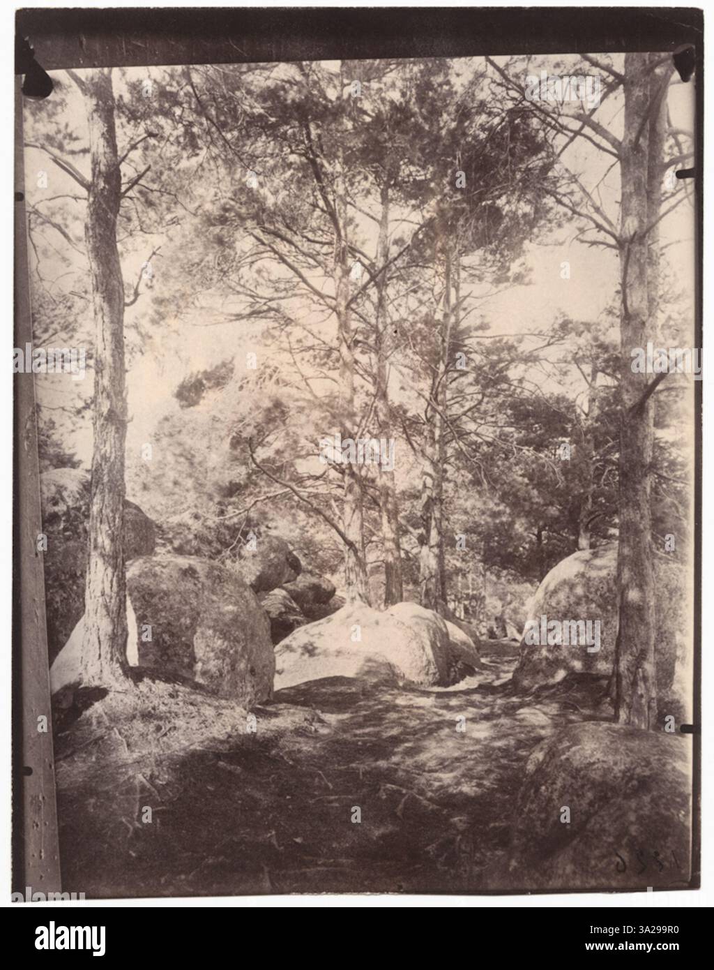 Sculpture parks Cut Out Stock Images & Pictures - Alamy