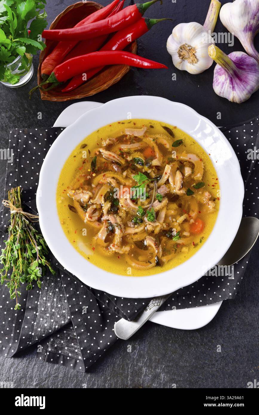 Traditional Politur-style tripe soup with beef and vegetables Stock ...