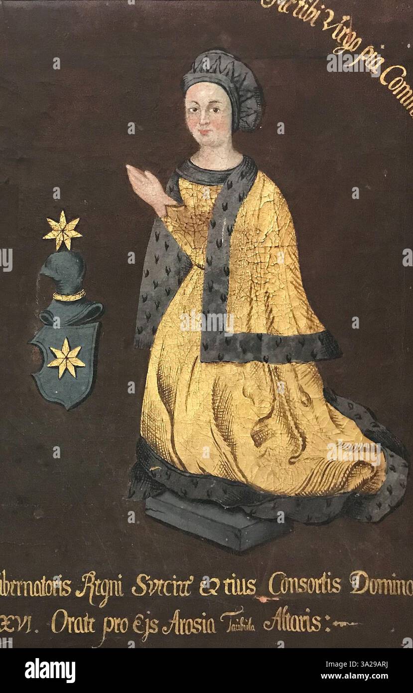 This portrait depicts Christina Gyllenstierna, wife of Stenonis Sture ...