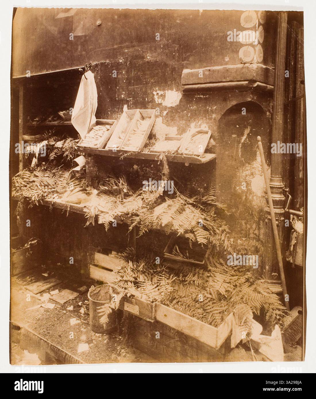 This photograph captures a small fish stall at the corner of Rue ...