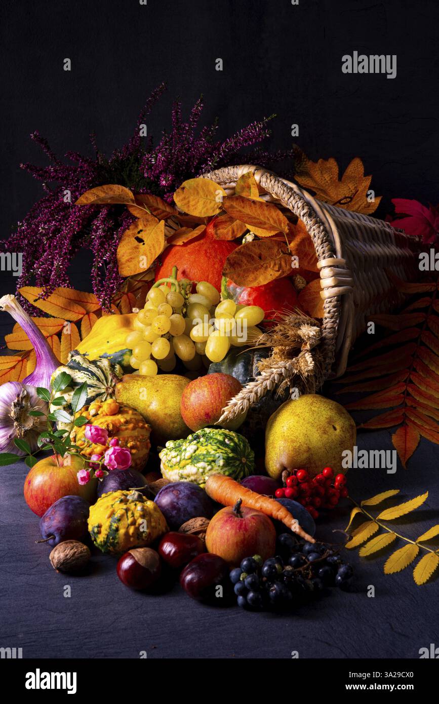 The beautiful and autumnal cornucopia Stock Photo - Alamy
