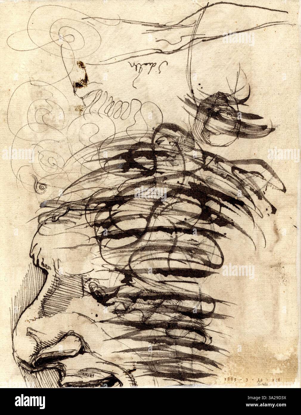 Featuring different poses and expressions hi-res stock photography and ...